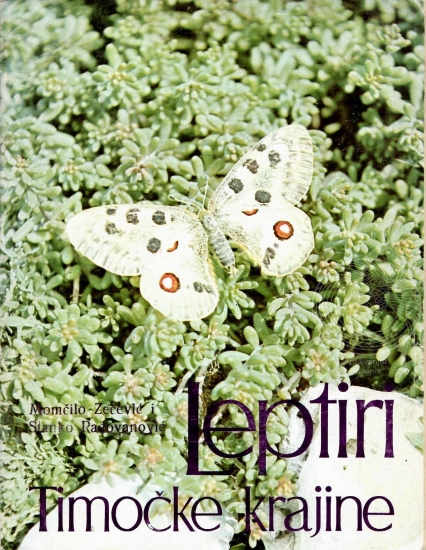 Leptiri Timočke Krajine (makrolepidoptera), Prilog poznavanju faune leptirova Srbije