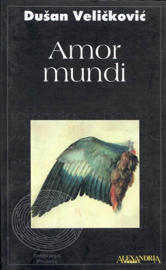 Amor mundi: dani ratnog stanja u Beogradu: Istinite priče