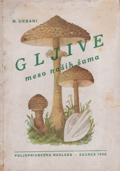 Gljive: meso naših šuma
