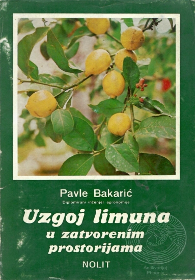 Uzgoj limuna u zatvorenim prostorijama
