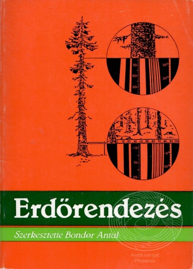 Erdőrendezés
