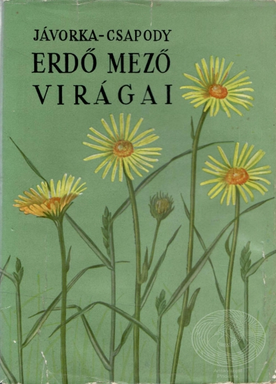 Erdő - mező virágai
