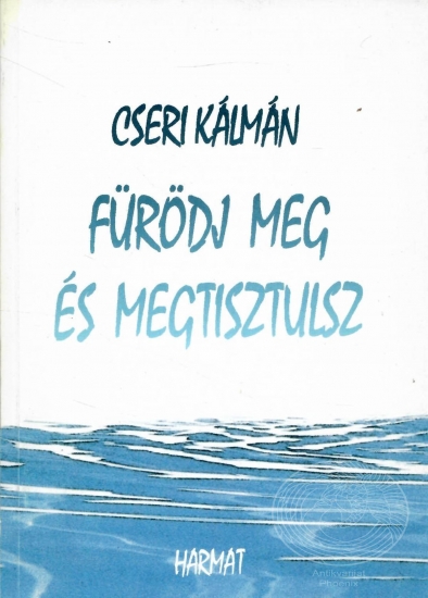 Fürödj meg és megtisztulsz - A bibliai Naámán élete