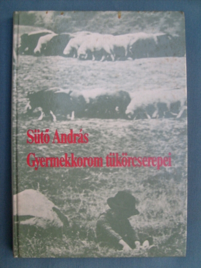 Gyermekkorom tükörcserepei
