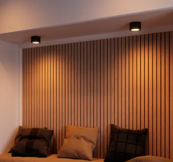 Nordlux Landon Smart plafonska lampa crna