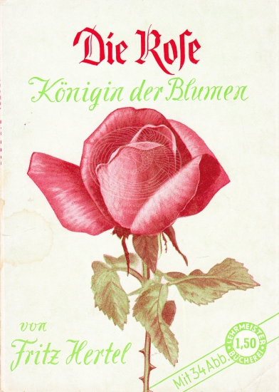 Die Rose - Königin der Blumen