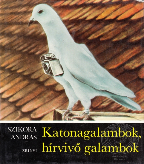 Katonagalambok, hírvivő galambok
