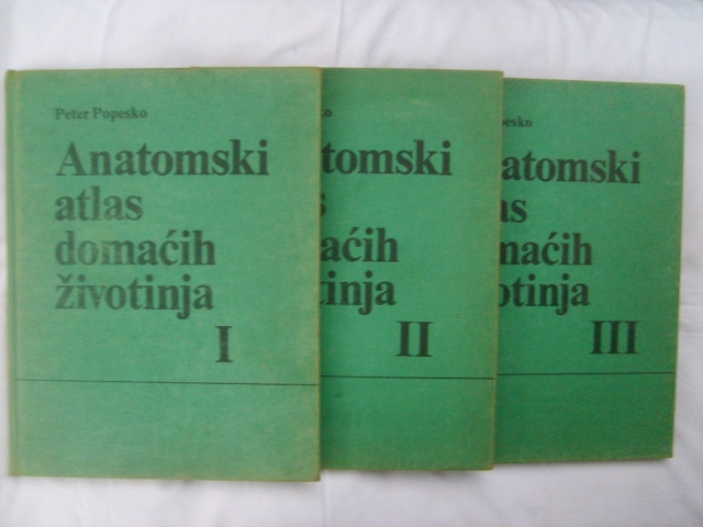 Anatomski atlas domaćih životinja 1-3