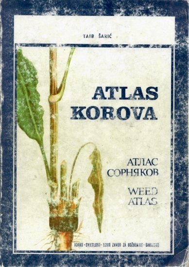 Atlas korova