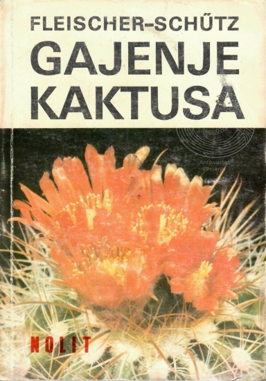Gajenje kaktusa