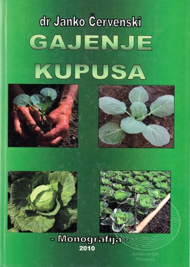 Gajenje kupusa