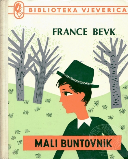 Mali buntovnik