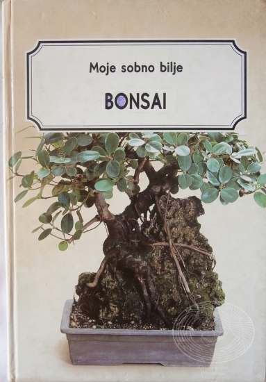 Moje sobno bilje - Bonsai