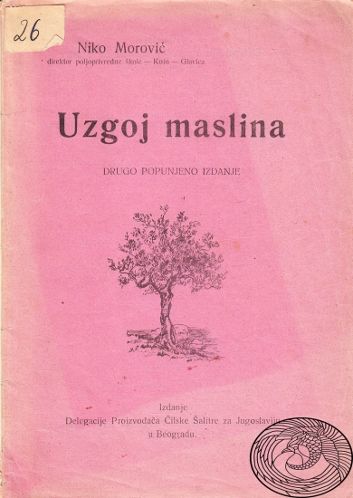 Uzgoj maslina