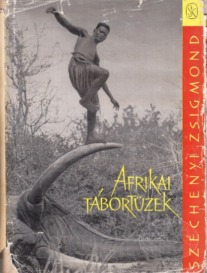 Afrikai tábortüzek