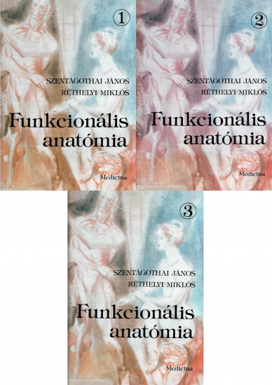 Funcionalis anatomia 1-3