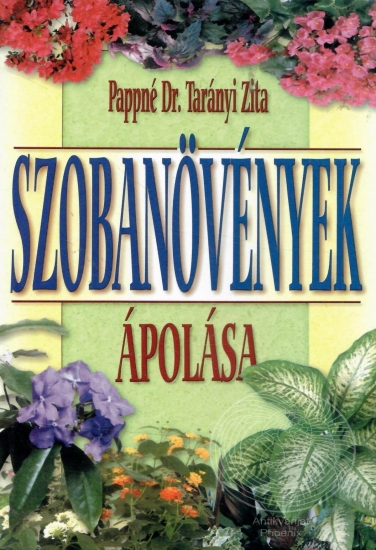 Szobanövények ápolása