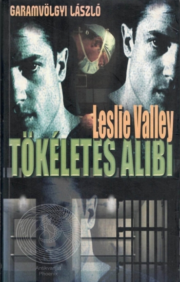 Tökéletes alibi