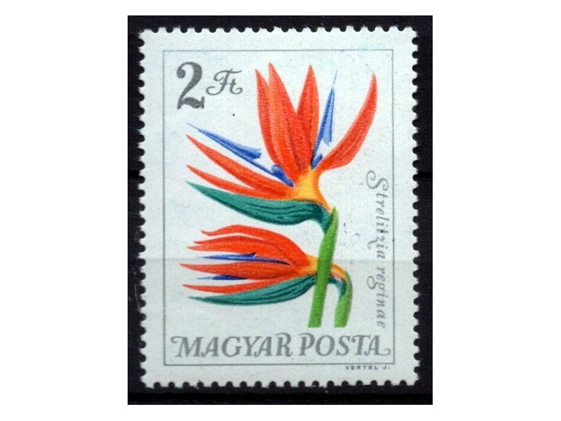 Mađarska - Magyar Posta 1965. Flora