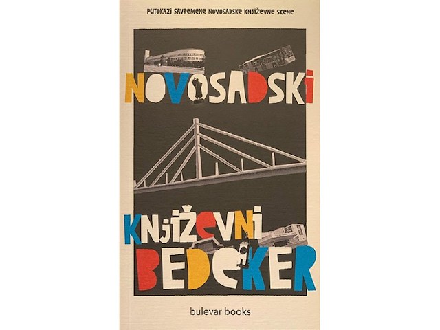 Novosadski književni bedeker - Više Autora