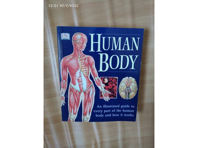 Anatomy of the Human Body