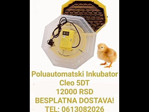 Poluautomatski Inkubator Cleo 5