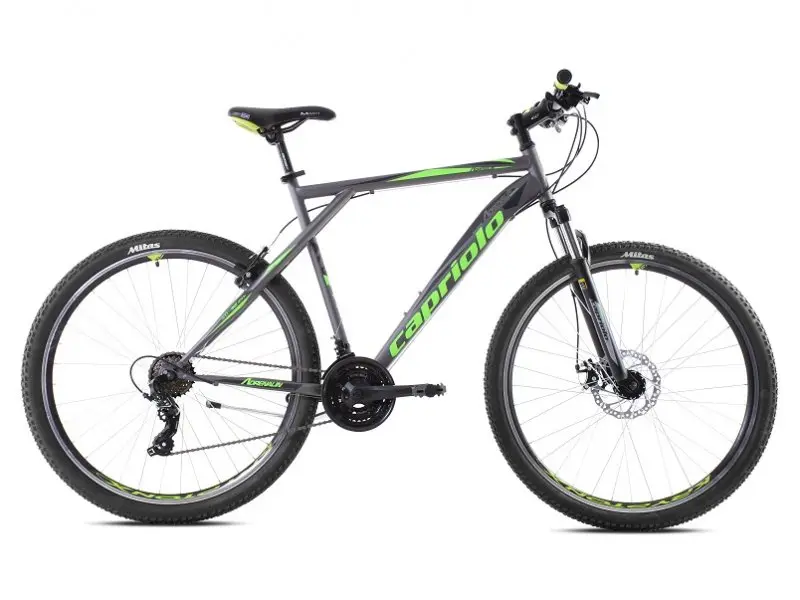 CAPRIOLO Bicikl MTB ADRENALIN 29''/21HT sivo-zeleni