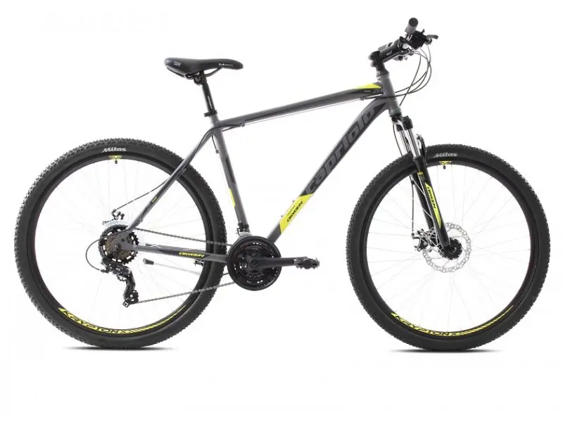 CAPRIOLO Bicikl MTB OXYGEN 29''/21HT sivi