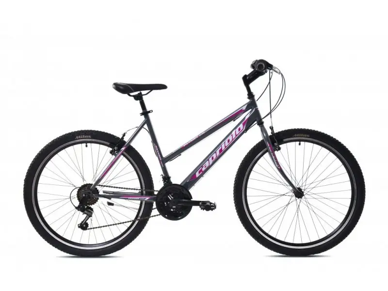 CAPRIOLO Bicikl PASSION MAN L 26'' sivi