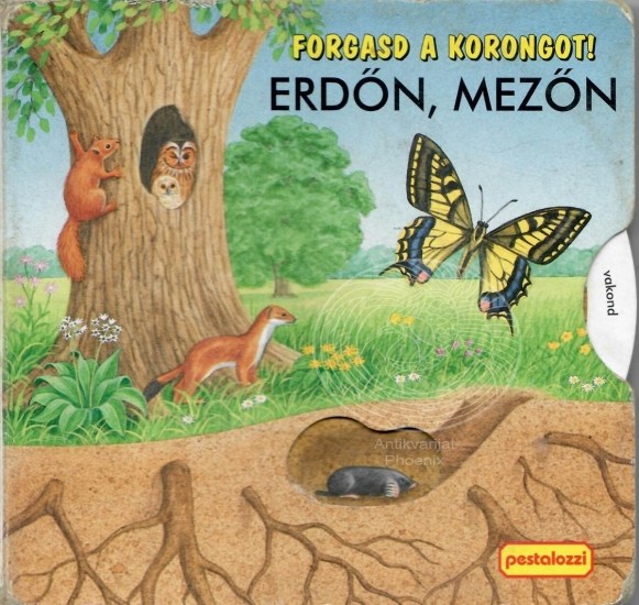 Erdőn-mezőn - Forgasd a korongot