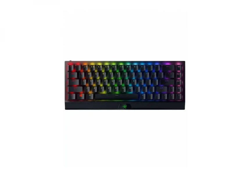 Tastatura RAZER BlackWidow V3 Mini HyperSpeed US (Crna) RZ03-03890100-R3M1
