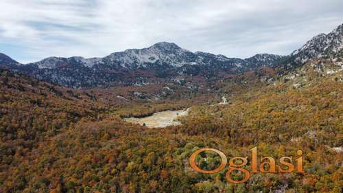 Imanje, bukova šuma, 600 ha