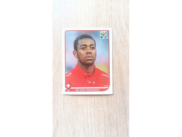 Južna Afrika broj 594 World cup 2010 Panini