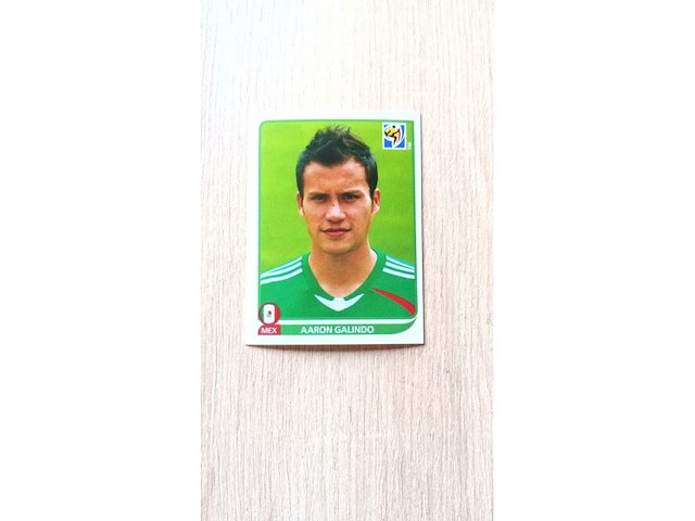 Južna Afrika broj 055 World cup 2010 Panini