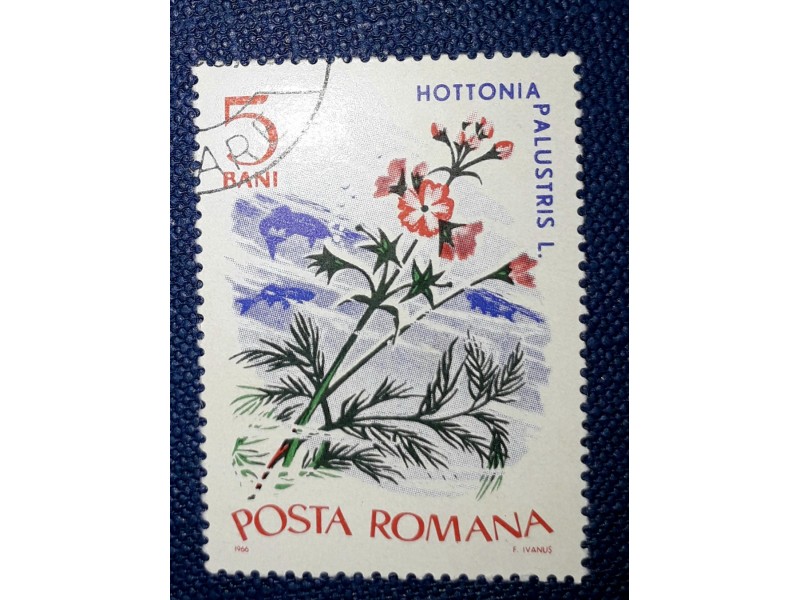 Romania 1966