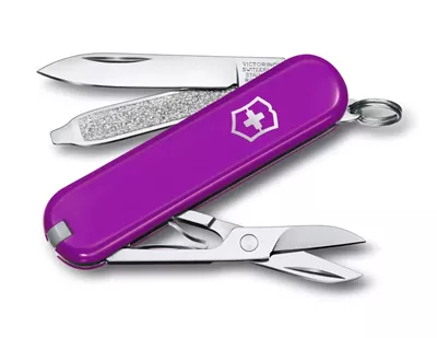 Victorinox nož CLASSIC - Tasty Grape - 0.6223.52G