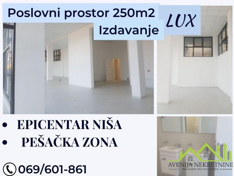 Top Ponuda , Poslovni Prostor Epicentar Niša 250m2, Izdavanje