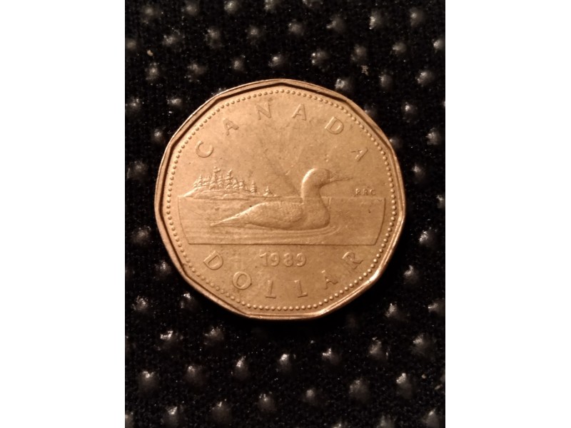 1 dolar 1989 kanada