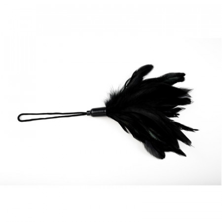Crna golicaljka | Feather Tickler Black