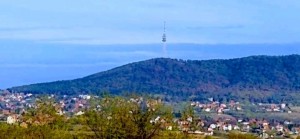 Prodajem Građevinsko Zemljište 10267 m2 Rušanj, Beograd