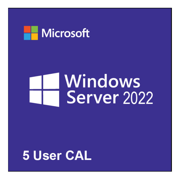 Windows Server CAL 2022 English 1pk DSP OEI 5 Clt User CAL ( R18-06466 )