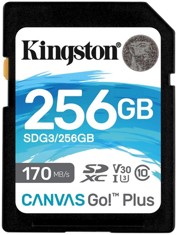 256GB SDXC, Canvas Go! UHS-1 U3 V30, up to 170MB/s read and 90MB/s write, 4K2K ( SDG3/256GB )