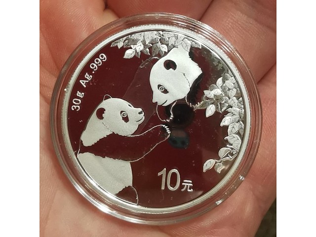 Srebrnjak Unca 999, Kineska Panda 2023., u kapsuli