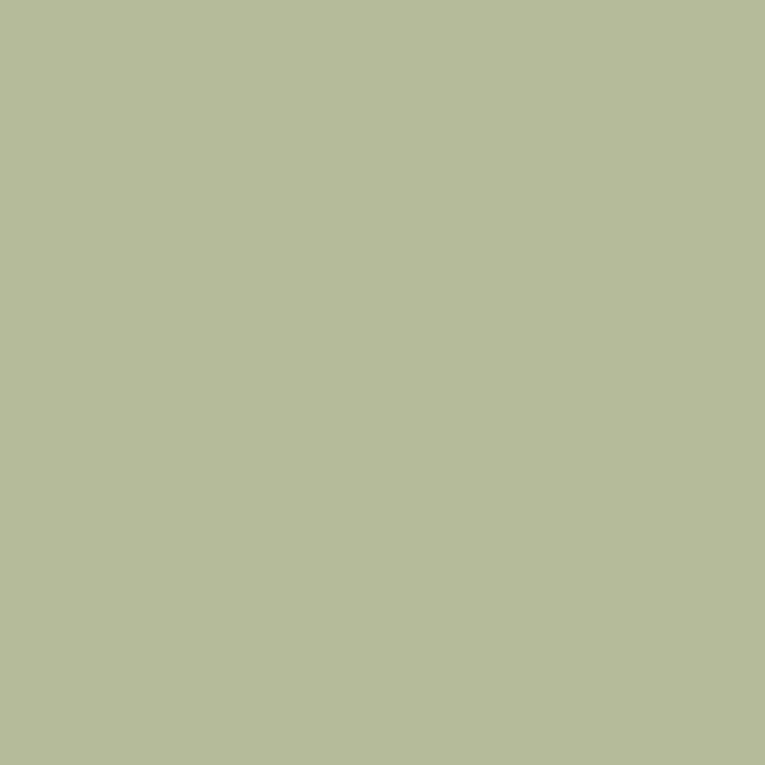 ABS TRAKA BLAŽIČ 22458 / 627F AVOCADO GREEN