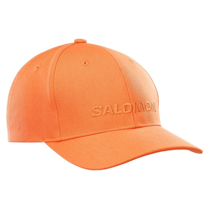 Salomon Salomon Logo kačket