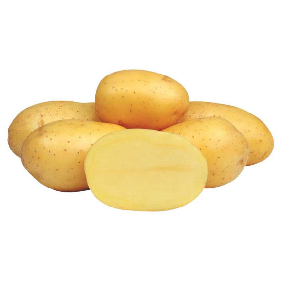 Semenski krompir MarabeL beli 10kg