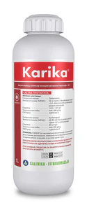 Karika