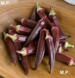 Crvena bamija-Red okra