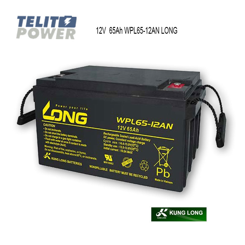 12V 65Ah WPL65-12AN LONG