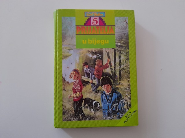 5 prijatelja u bijegu - Enid Blyton